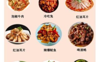 川菜菜谱大全100道家常_怎么做才正宗