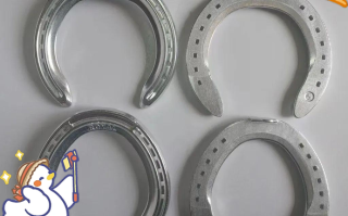 马蹄铁的作用_马蹄铁为什么能保护马蹄