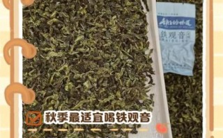 铁观音适合什么季节喝_铁观音什么季节喝最好