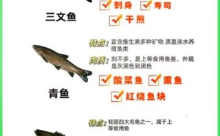 草鱼和鲤鱼有什么区别_哪个更好吃