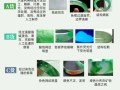 翡翠手镯怎么选_翡翠A货和B货区别