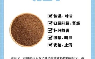 菟丝子怎么吃_菟丝子一天吃多少