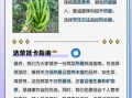 蔬菜麻辣烫热量高吗_减肥能吃吗
