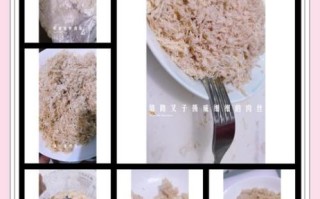 猪肉松是什么_猪肉松怎么做才好吃
