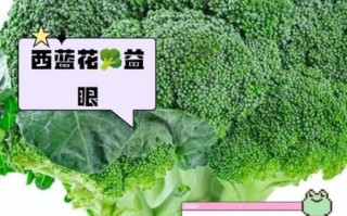 花椰菜是什么菜_花椰菜和西兰花的区别