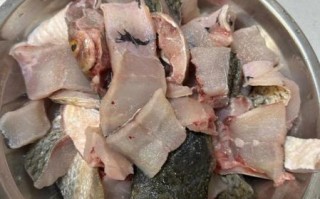 清炖梭鱼的家常做法窍门_清炖梭鱼怎么做不腥