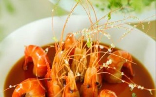 虾图片大全图片欣赏_高清虾类摄影怎么拍