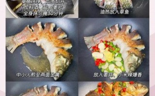 草鱼怎么做好吃_草鱼怎么做不腥