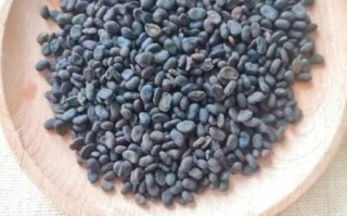 补骨脂的功效与作用_补骨脂怎么使用效果最好