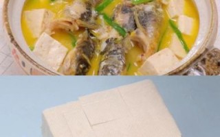 豆腐炖鱼的营养价值_豆腐炖鱼的功效与作用