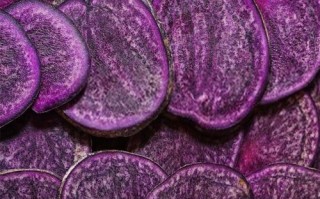 黑土豆的功效与作用_黑土豆怎么吃最营养