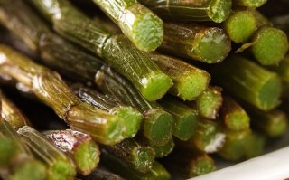 铁皮枫斗价格多少钱一斤_铁皮枫斗价格为何差异大