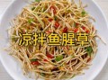 鱼腥草怎么吃效果最好_鱼腥草怎么吃最健康