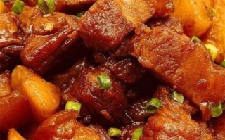 炖五花肉的家常做法_五花肉怎么炖才软烂