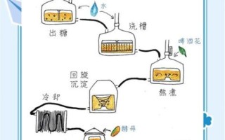啤酒生产工艺流程_如何酿造啤酒