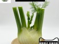 茴香头怎么吃法_茴香头怎么做好吃