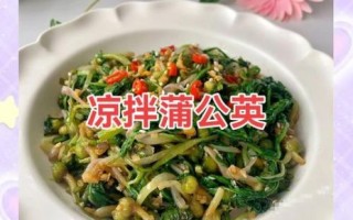 蒲公英怎么吃好吃又简单_蒲公英怎么凉拌好吃