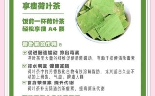 荷叶怎么吃减肥_荷叶减肥的正确吃法