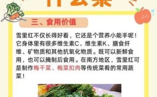 野生雪里红菜图片大全_如何辨别真假