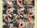 香辣蟹怎么做_香辣蟹视频教程