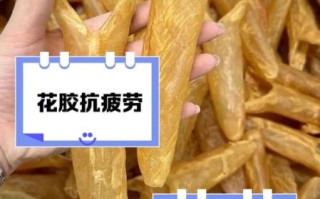 花胶的功效与作用及营养价值_花胶怎么吃最补