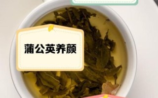 喝蒲公英茶有什么好处和坏处_蒲公英茶副作用有哪些