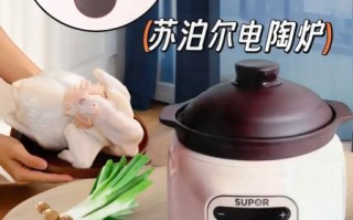 电炖锅怎么煲汤好喝_电炖锅煲汤做法大全