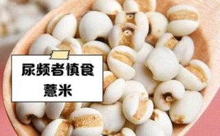 薏米不能和什么一起吃_吃薏米的禁忌有哪些