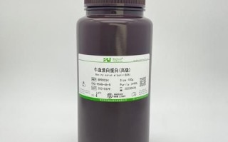 牛血清白蛋白分子量是多少_如何测定