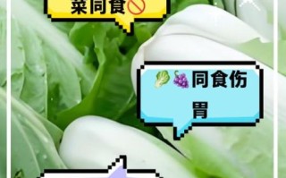 白菜不能和什么一起吃_白菜和什么食物相克