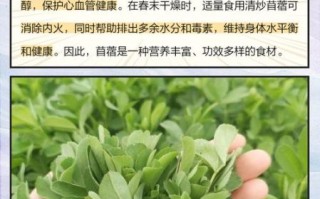 苜蓿草多少钱一斤_苜蓿草价格影响因素
