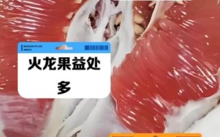 败火的水果蔬菜有哪些_夏天吃什么最败火