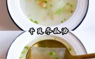 干贝冬瓜汤怎么做_干贝冬瓜汤的家常做法