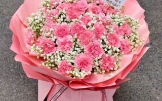 康乃馨花束送妈妈好吗_康乃馨花束怎么选