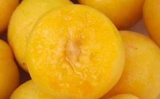 杏梅的功效与作用禁忌_杏梅什么人不能吃