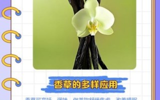 香草app下载安全吗_香草app怎么下载最新版