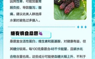 桑葚子什么人不能吃_桑葚子不能和什么一起吃