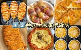 芝士是什么做的_芝士有害么