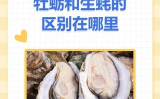 牡蛎和生蚝的区别_功效差异大吗