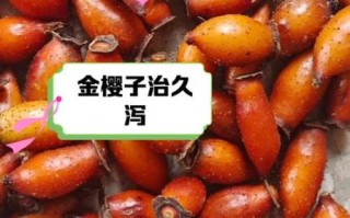 金樱子怎么吃补肾_金樱子补肾的正确方法