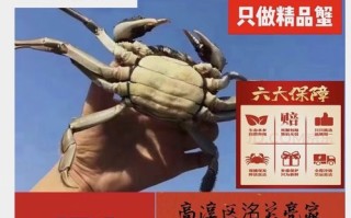 固城湖大闸蟹礼卡怎么选_固城湖大闸蟹礼卡多少钱