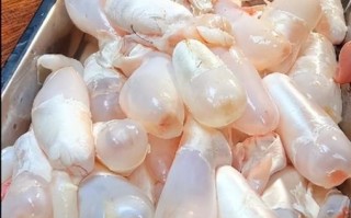 鱼泡怎么保存_鱼泡怎么清洗