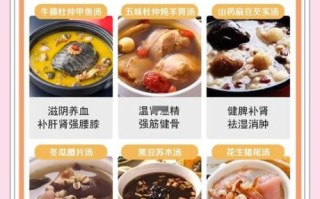 补肾鸡汤的做法_肾虚喝什么汤最好