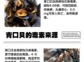 青口贝哪些部位不能吃_青口贝内脏图解
