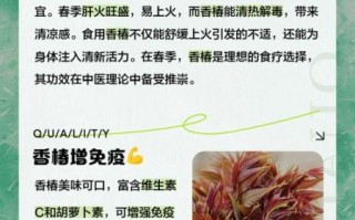 香椿的功效与作用及副作用_孕妇能吃吗