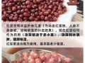 红豆与赤豆的区别_哪个更适合做甜品