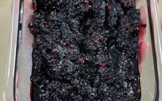 桑葚酱怎么做_桑葚酱不加水能熬吗
