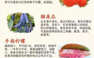 十大稀有水果有哪些_它们为什么珍贵