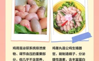 鸡腰子是鸡睾丸吗_鸡腰子和鸡睾丸的区别