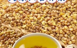 苦荞茶图片大全大图_苦荞茶怎么泡才正确